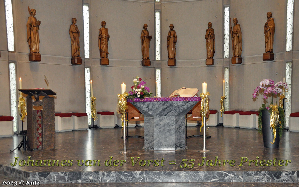Johannes van der Vorst = 55 Jahre Priester | Rheinischer Spiegel